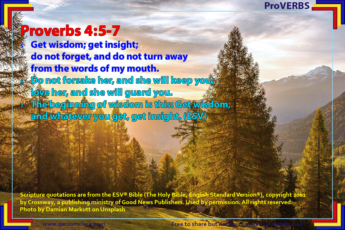 get-wisdom-get-insight – Gersom Clark