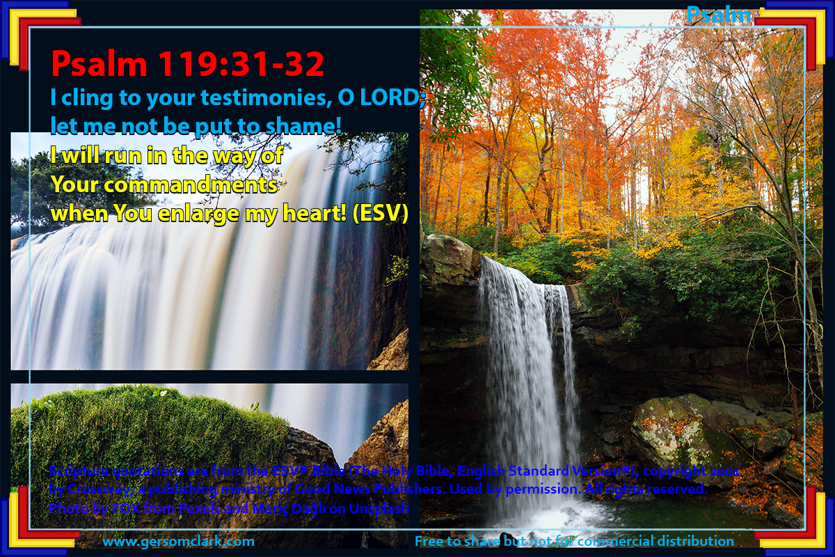 December 21, 2024 – Gersom Clark